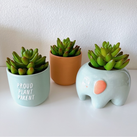 Target | Accents | Target Bullseye Playground Pot With Faux Succulents ...